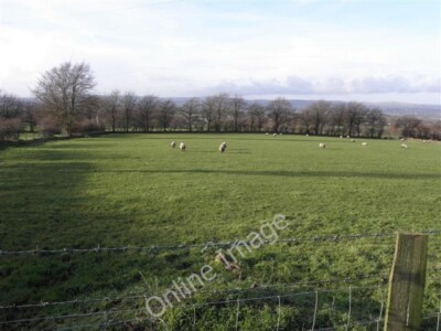 Photo 6x4 Halftown Townland Straid/J3391 Looking west c2009 | eBay UK