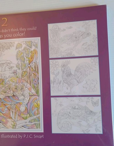 Color Me Your Way 2 Adult coloring book Spiral-bound By Pamela Smart | eBay