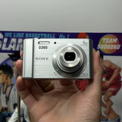Sony Cyber-shot DSC-W800 20.1MP 5x Optical Zoom Compact Digital Camera ...
