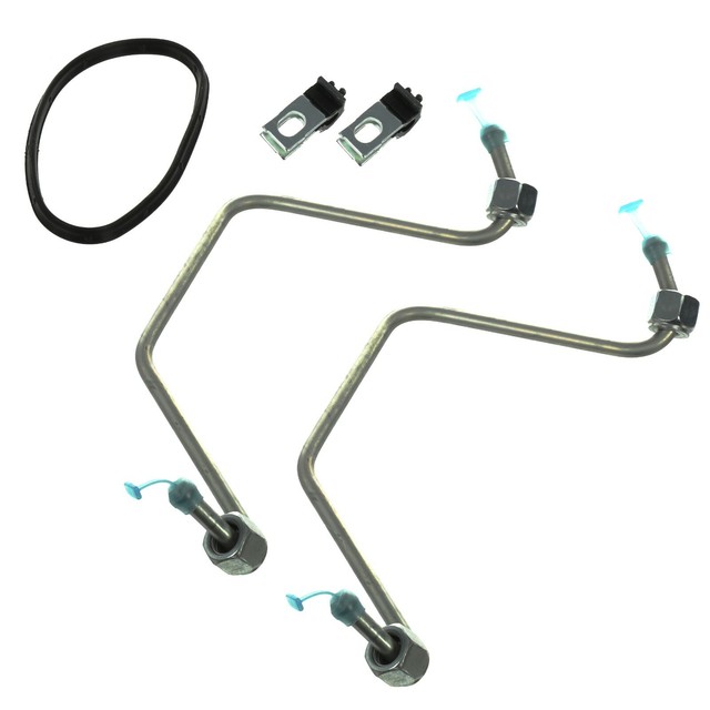 Ford OEM Fuel Injection Pump O-ring 8C3Z9G805B for sale online | eBay