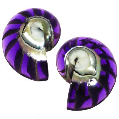 Nautilus Shell Deep Purple Focal Bead Matched Pair Cab Cabochon, 1 1/4 ...