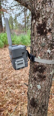 SPYPOINT Flex Plus Adjustable Trail Camera Tree Mount | eBay