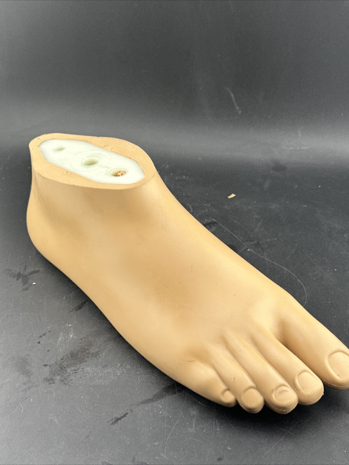 Ottobock OTTO Bock Sach Prosthetic Foot 1S102 Size 26 Right Max Weight ...