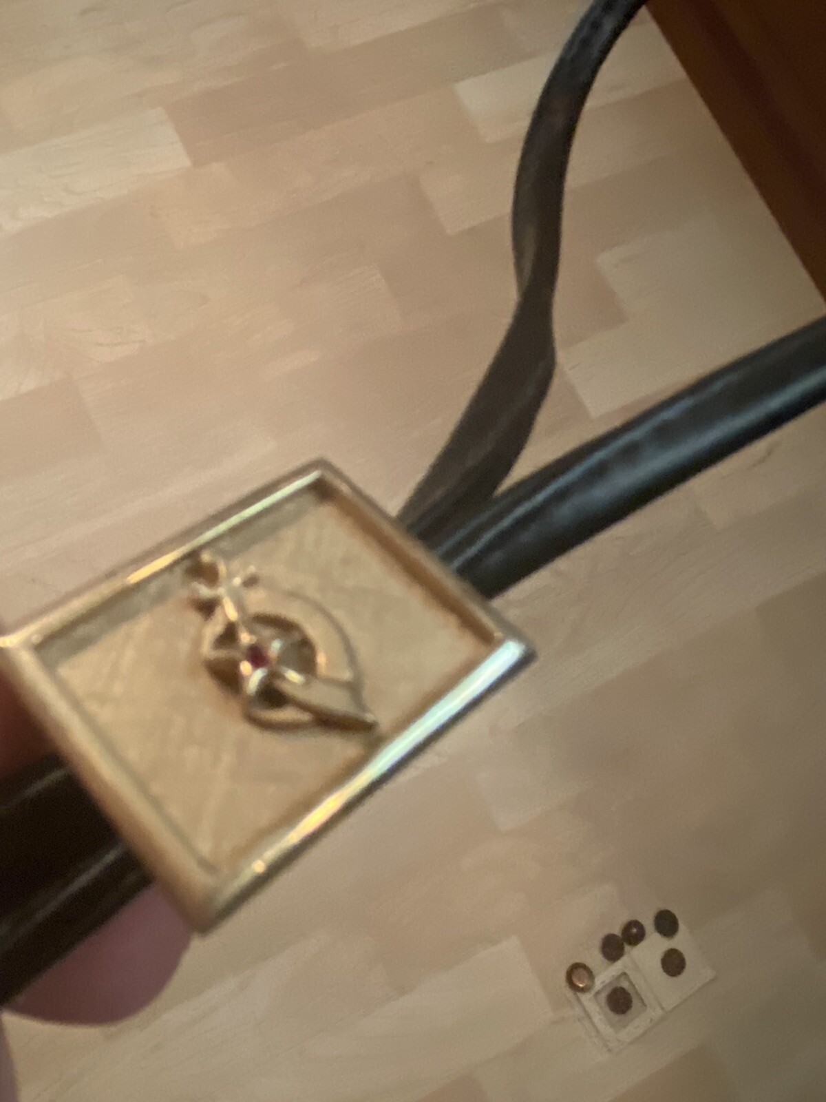 rare red RUBY stone ?Masonic Bolo Tie - Gem