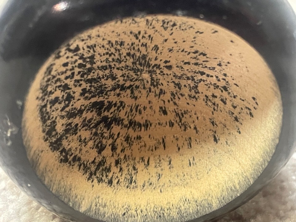 MIKE TROUT Signed + Used UNCracked AUTOGRAPHED Bat PSA OLD HICKORY ...