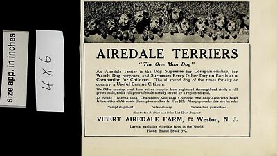 1922 Airedale Terriers Vibert Airedale Farms NJ Vintage Print Ad 5716 ...