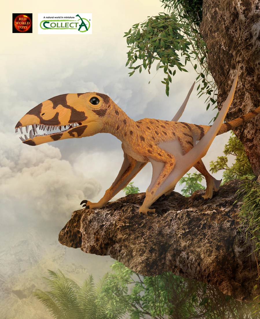 Dinosauro Pterosauro Pterosaur Pterodactylus Stockfoto Und Mehr Bilder