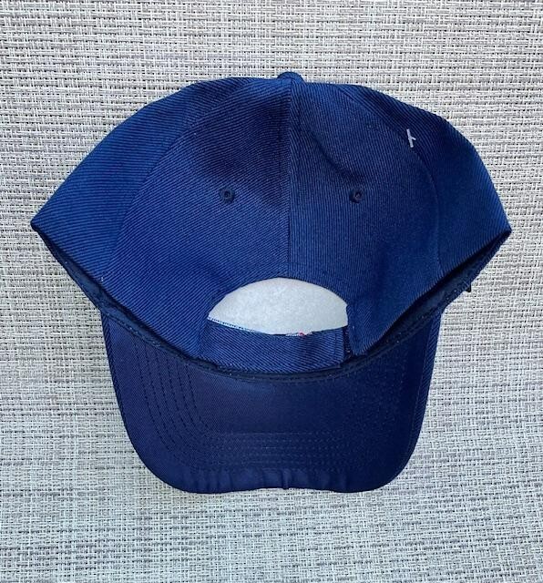 PUERTO RICO Coqui w/ PR Flag Embroidered Navy Blue HAT CAP ADJUSTABLE ...