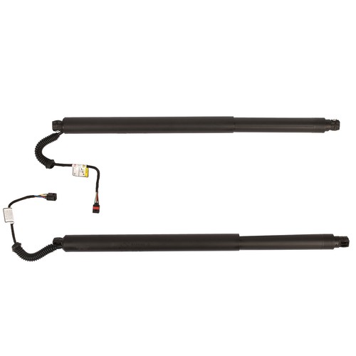 2Pcs Rear Left Right Power Lift Gate Cylinder Struts For 2015-2019 For ...