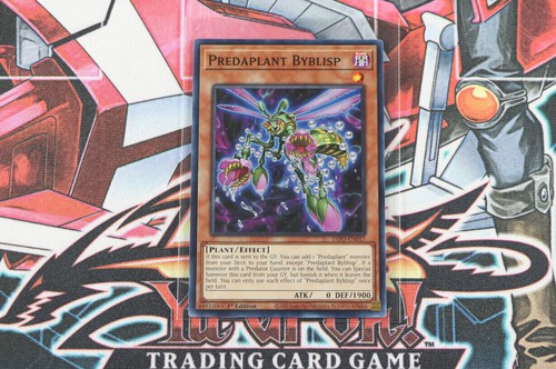 YuGiOh Predaplant Byblisp DIFO-EN017 1st Edition Common | eBay