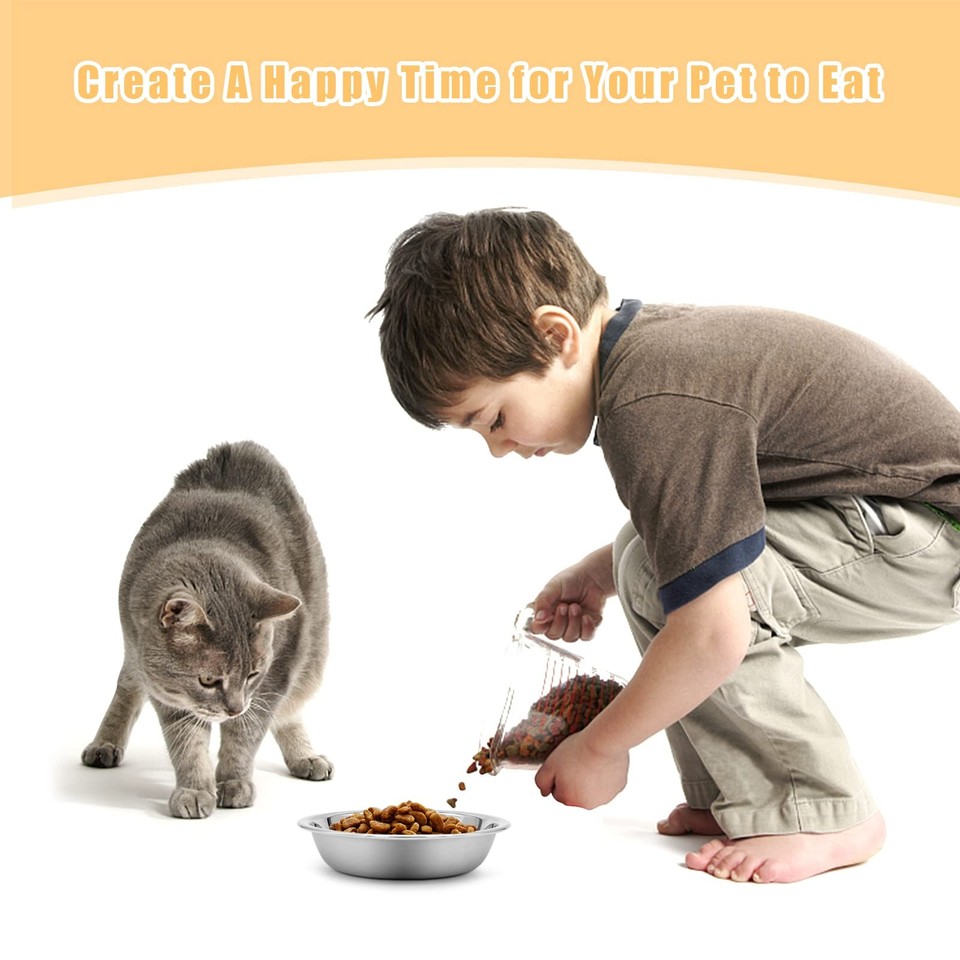 Stainless Steel Cat Bowl-Shallow Wide Flat Cats Food Bowls,Metal Kitten ...