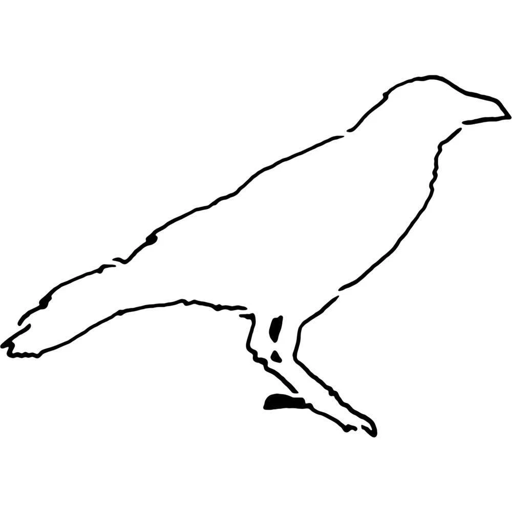 Outline Black Crow Cut Outs