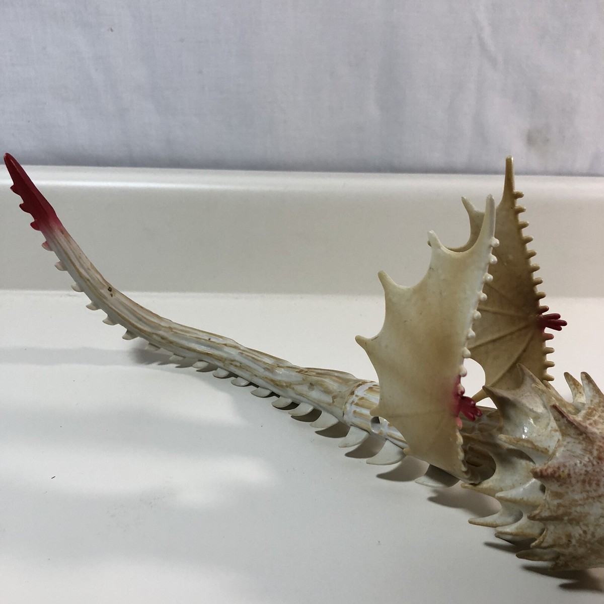 Screaming Death Dragon Toy