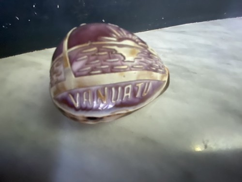 Vanuatu Tiger Cowrie carved or etched seashell Sea Shell palm tree ship ...