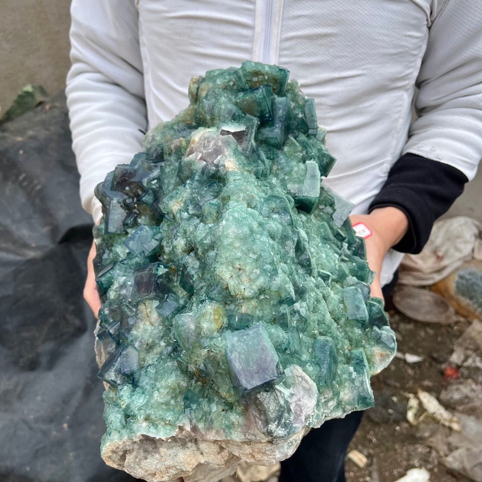 46lb Large Natural green cubic fluorite quartz crystal cluster mineral ...
