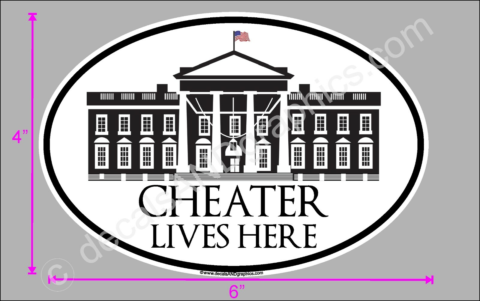 TRUMP 2020 STICKER CHEATER LIVES HERE WHITEHOUSE ANTI BIDEN ANTI ...