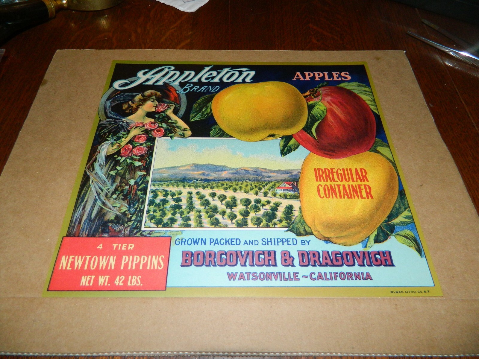 Watsonville California Appleton Apple Fruit Crate Label 9.5"x10" | eBay