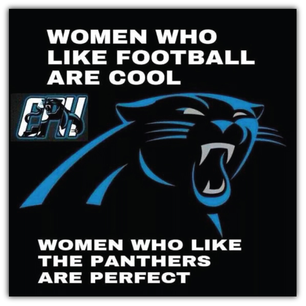 Carolina Panthers NFL Head Car Bumper Sticker Decal- 3'' or 5'' | eBay