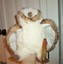 Barn Owl Hand Puppet by Folkmanis - 2261 for sale online | eBay