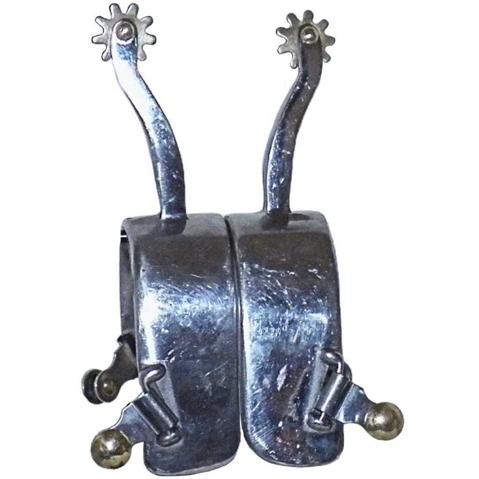 Ladies Stainless Steel Offset Long Shank Equitation Spurs 10 Point ...