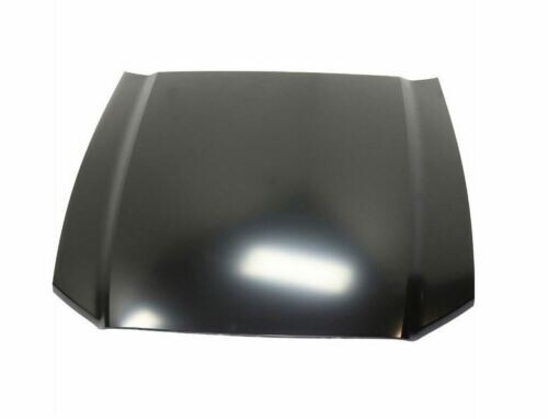 Motorhaube Für Dodge Charger Srt 2015 - 2020 Aluminium 68265427Aa | eBay.de