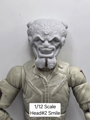 3d Printed BIG HEAD VILLIAN ANGSTROM HEAD #2 1:12 6" Classified Legend ...