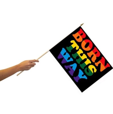 12 Pack Rainbow Born This Way Pride Flag 12x18 Inch Hand Flag On Stick ...