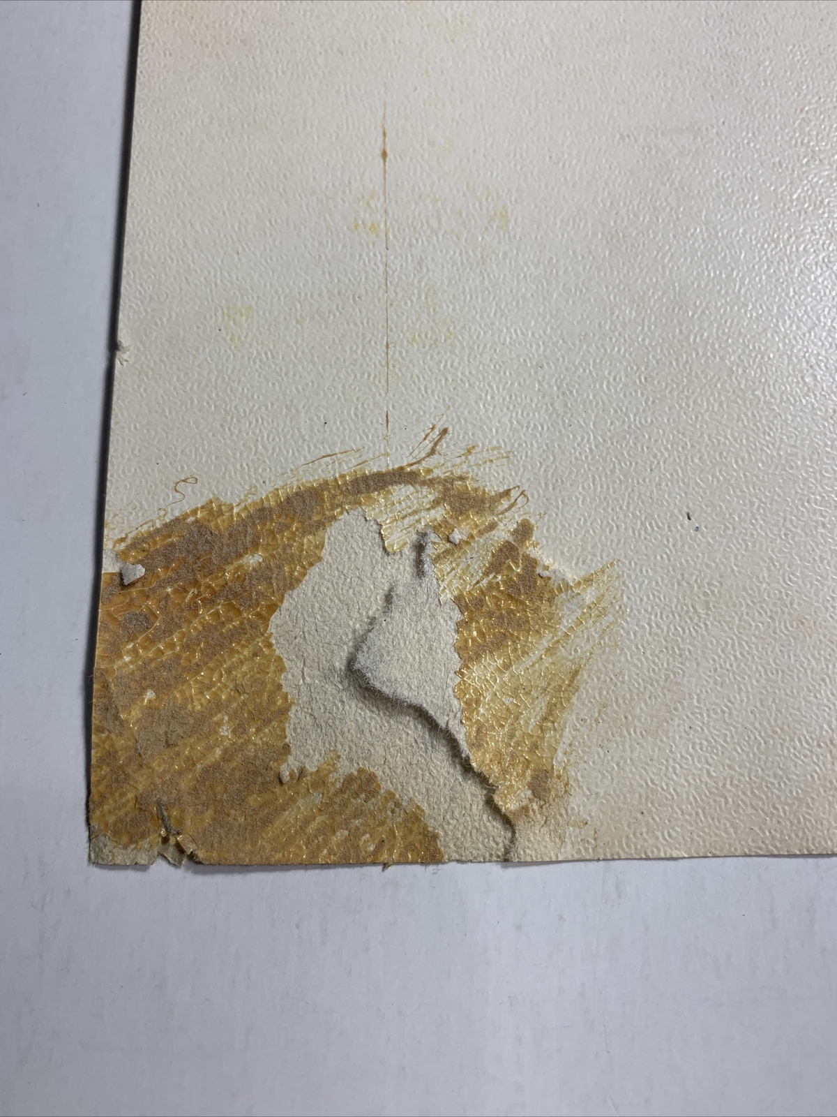 C 1915 Lippert Print art Pretty Pin Up Daisy Field Flowers Girl | eBay