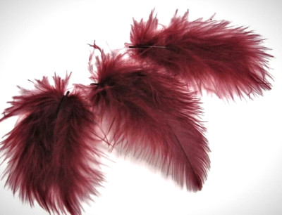 Burgundy Turkey Marabou Feathers Feathers 200 pc 2-4" Glue Sew on ...
