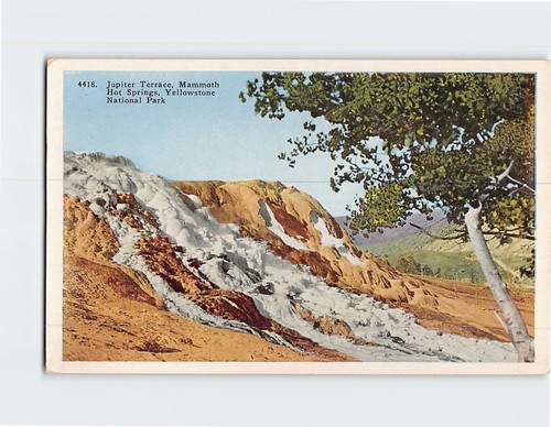 Postcard Jupiter Terrace Mammoth Hot Springs Yellowstone National Park ...