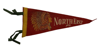 Vintage North East PA Souvenir 12 Inch Pennant w/ Native American Chief ...