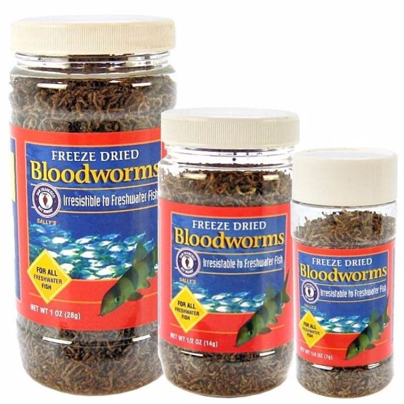 All Natural Freeze Dried Bloodworms Freshwater Fish Food SFB Brand 0 ...