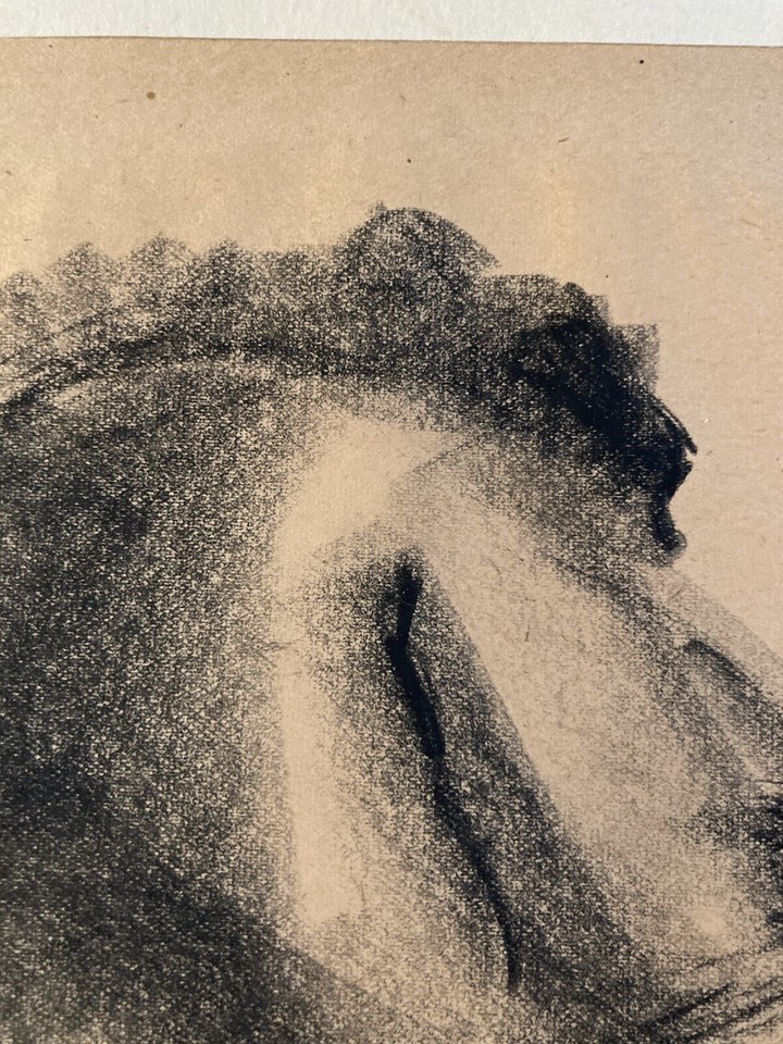 Very Nice Drawing Charcoal Paper Monkey Baboon Portrait Animal 1950 to ...