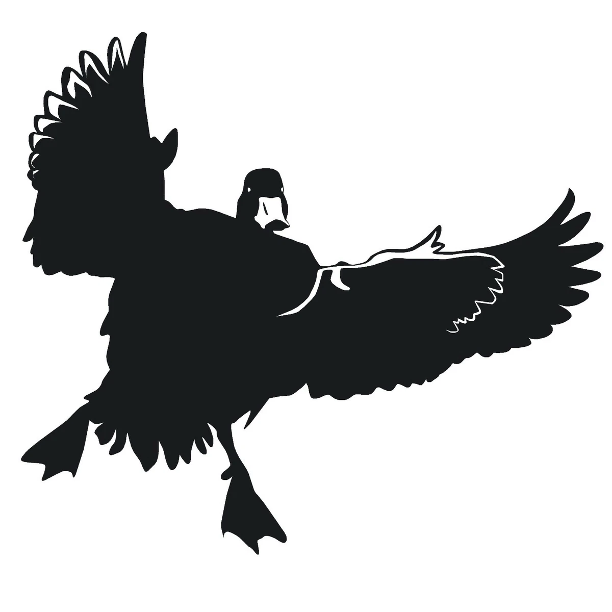 Landing Duck Clipart