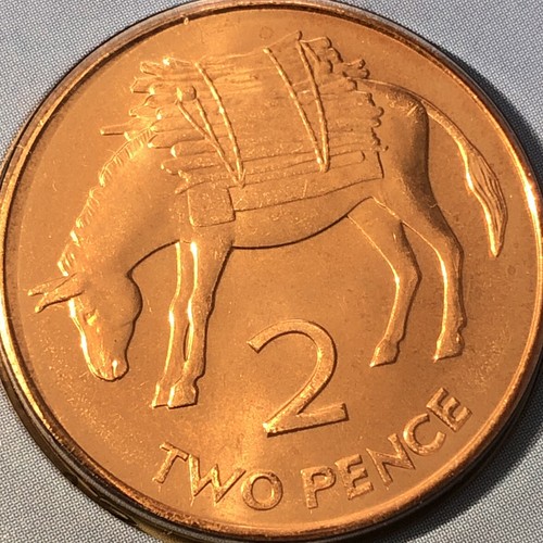 St. Helena 🇸🇭Ascension Islands Coin 2p Pence 2006 Donkey Mule BUNC from ...