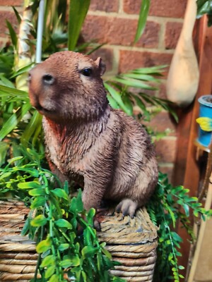 Capybara Garden Ornament Small Resin Decorations Vivid Arts Rodent ...