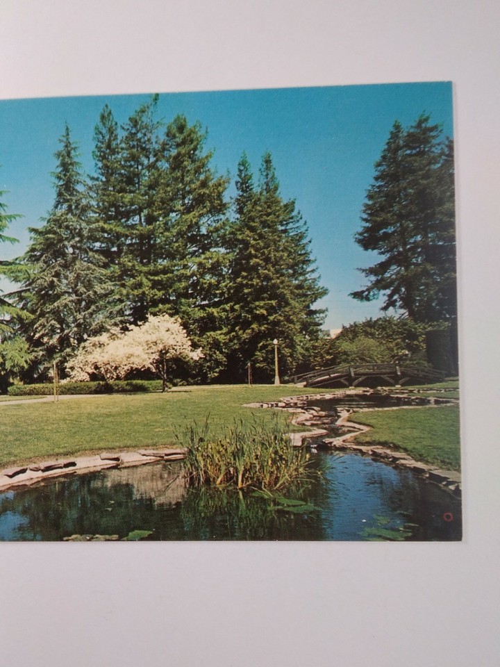 California Postcard Mid 1900s Original Rare Santa Rosa Juilliard Park ...
