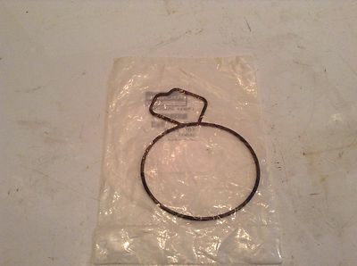Polaris New OEM Gasket Water Pump Gm 24439799 | eBay