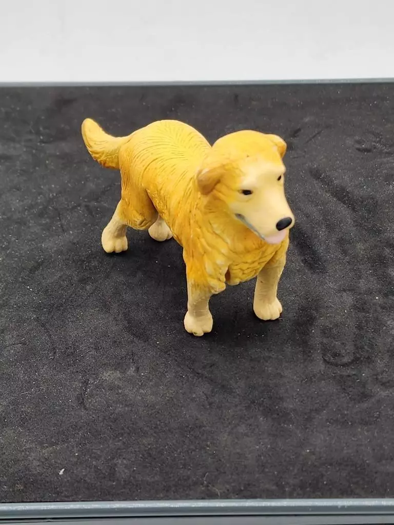 Homeward Bound Shadow