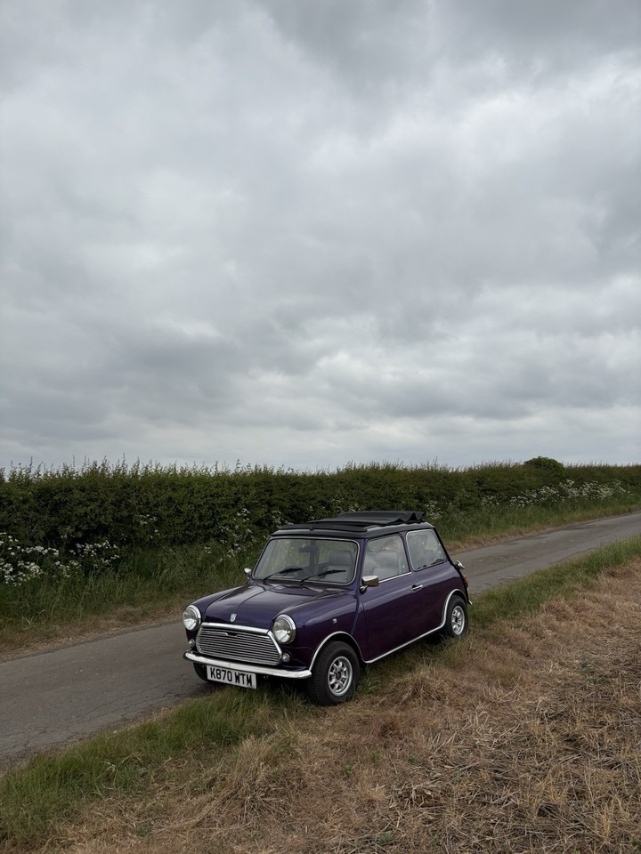 Classic Mini | eBay UK