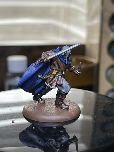 32 mm Rogue Miniature Pathfinder 5 Ed Dungeons And Dragons Painted | eBay