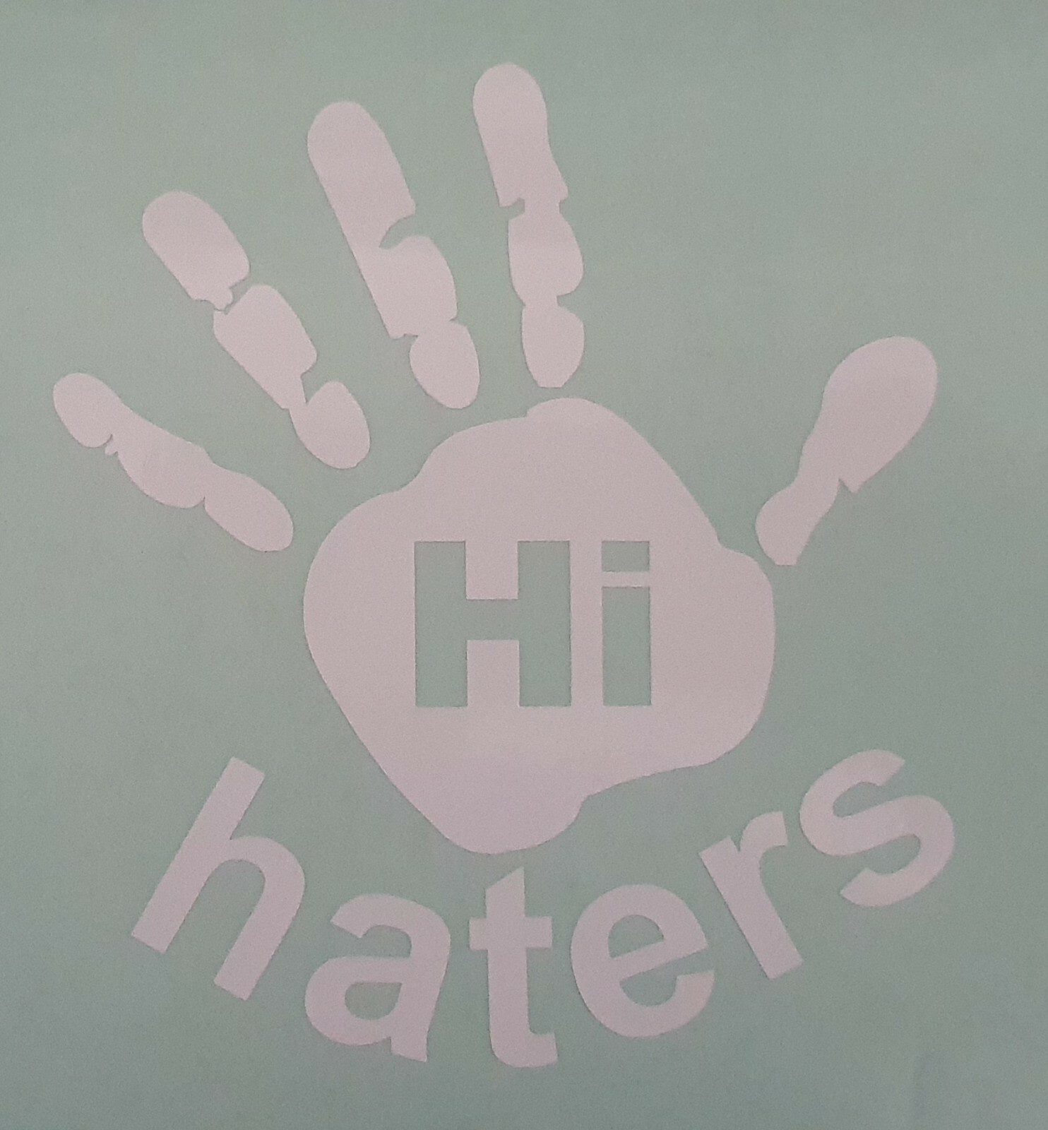 Hi Haters 100mm x 90mm | eBay