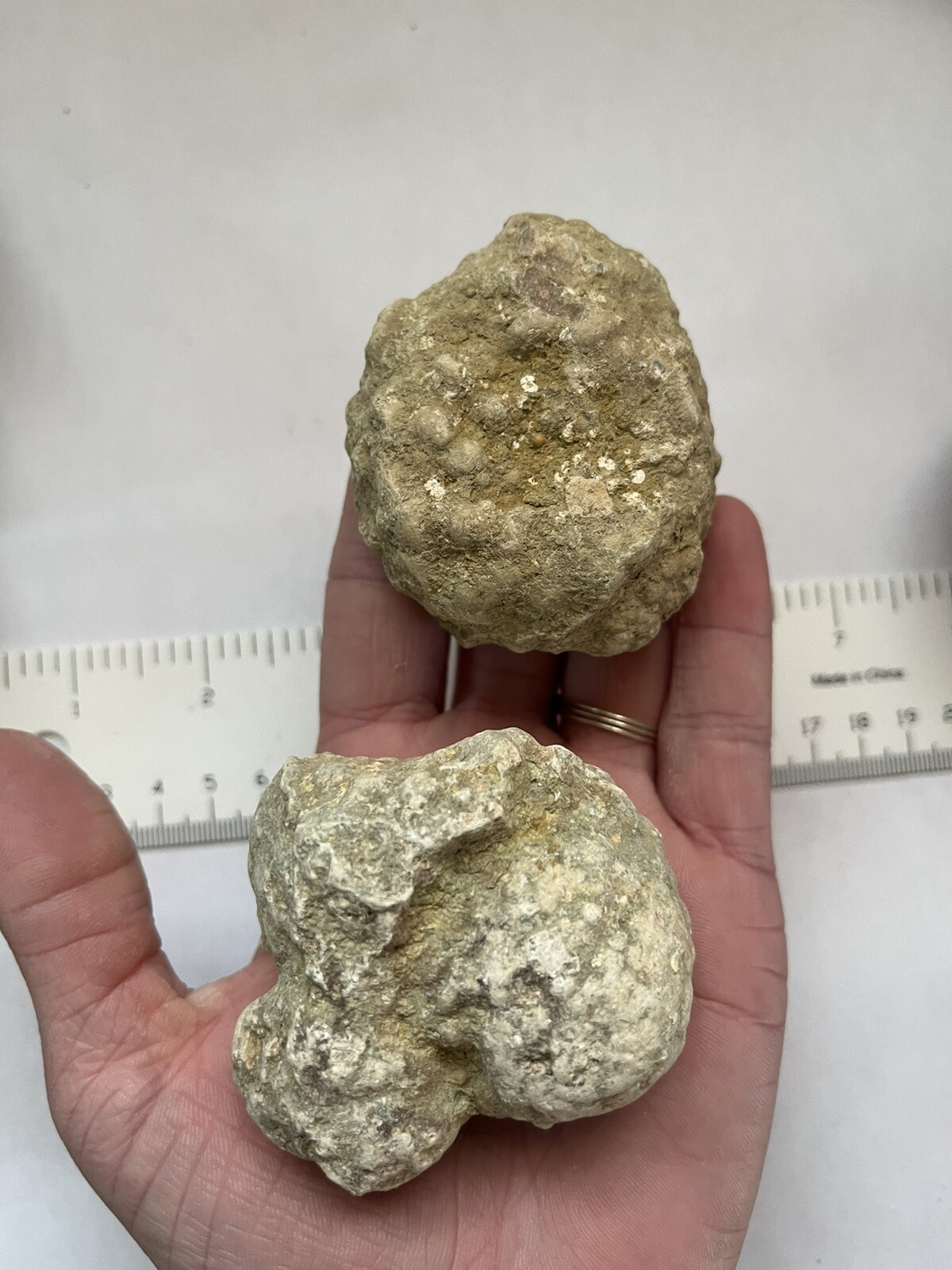 2pc Break Your Own Crystal Canyon Geode, Unopened Geode, Whole Geode | eBay