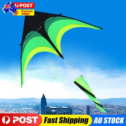 1.6m Triangle Kite 10 Tail Bird Shaped Kite for Outdoor (Spiral ...