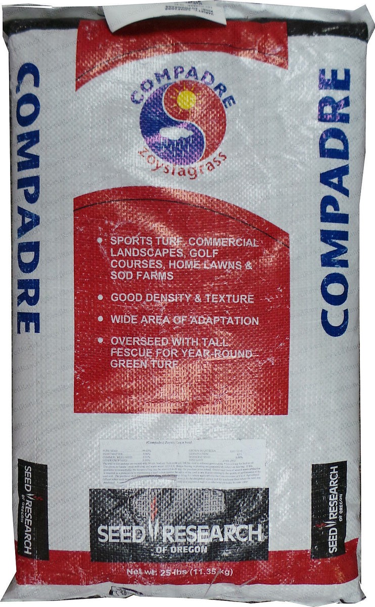 Compadre Zoysia Seed