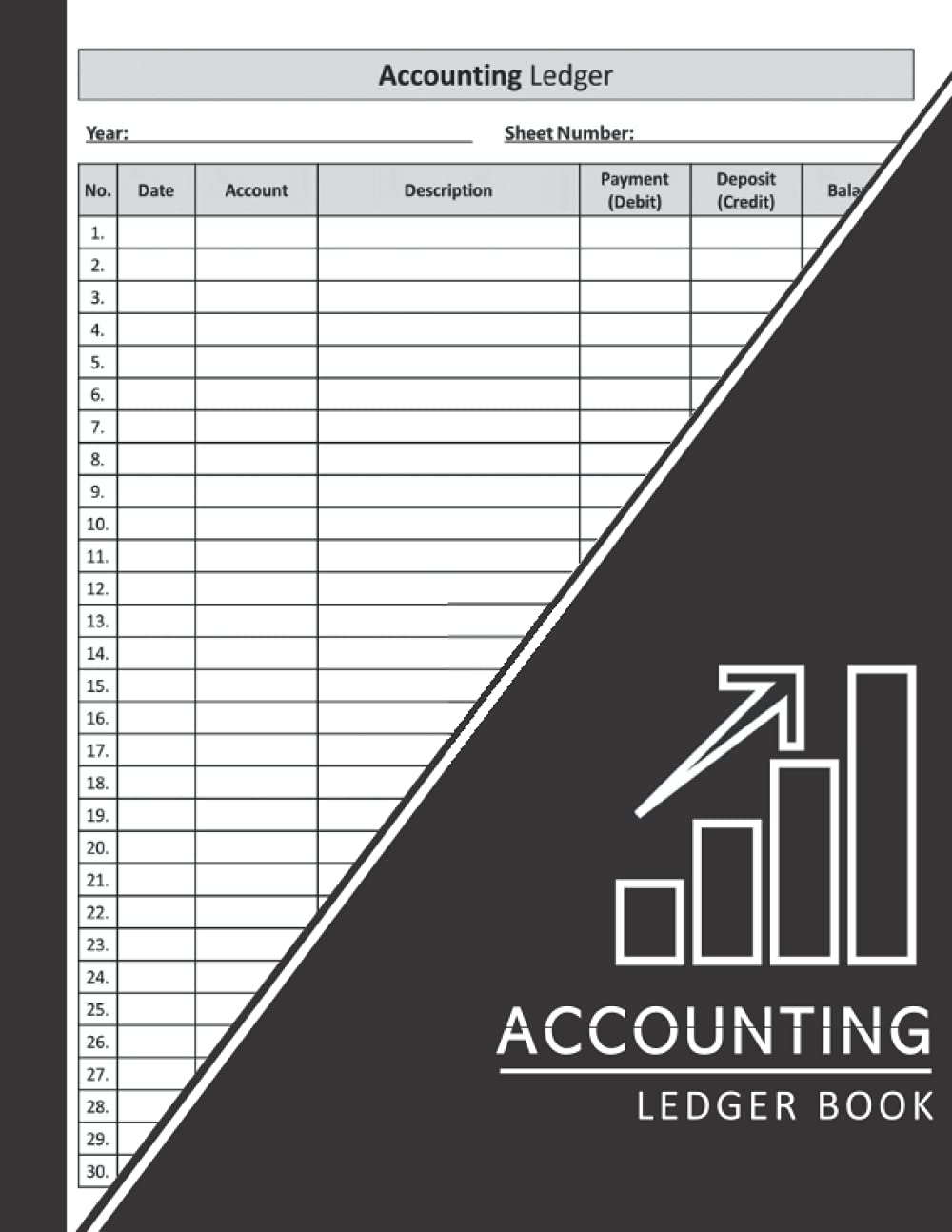Accounting Ledger Book: Large Simple Accounting Ledger Book 100 Pages ...