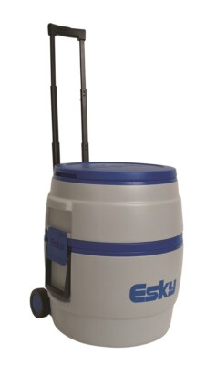 ESKY 2-in-1 38L 52 Can Barrel Cooler Ice Party Bucket Food & Drink ...