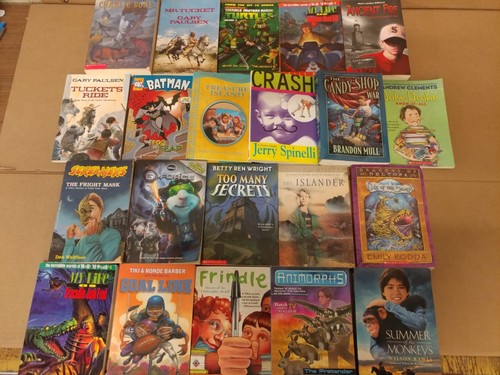 Lot of 20 Chapter Books for BOYS Youth Early Reader Young Adults ...