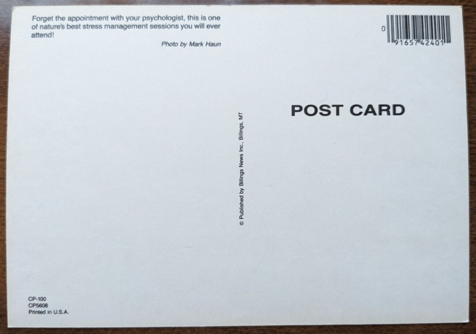 Billings, MT Montana "Stress Management" Fly Fishing Vintage Postcard ...