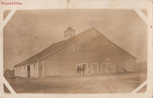 RPPC Postcard David Warman Ash Grove Farm | eBay